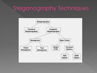 Computer forensics and steganography | PPT