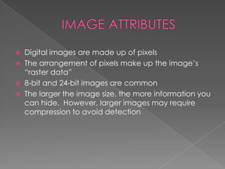 Computer forensics and steganography | PPT