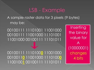 Computer forensics and steganography | PPTX