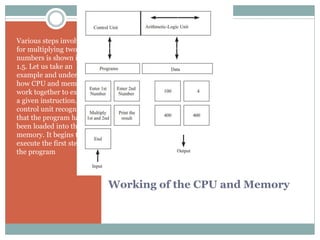 A Presentation on Computer Fundamen.pptx