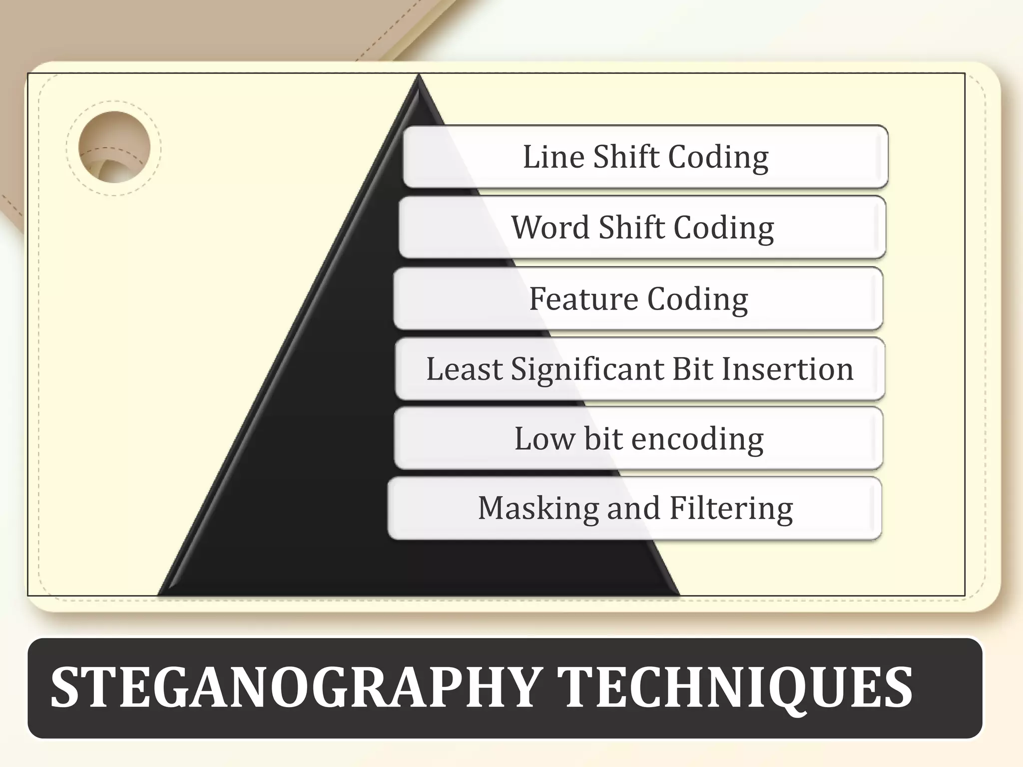 Steganography | PPTX