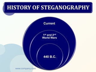 Steganography | PPTX