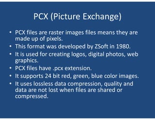 Computer Graphics - Graphics File Formats.pdf