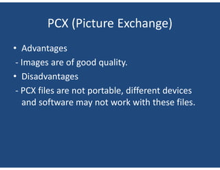 Computer Graphics - Graphics File Formats.pdf