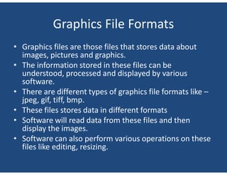 Computer Graphics - Graphics File Formats.pdf