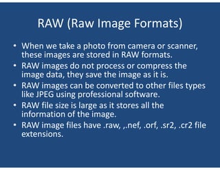 Computer Graphics - Graphics File Formats.pdf