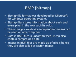 Computer Graphics - Graphics File Formats.pdf