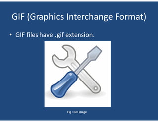 Computer Graphics - Graphics File Formats.pdf