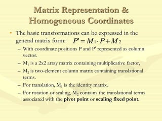 Computer graphics basic transformation | PPTX