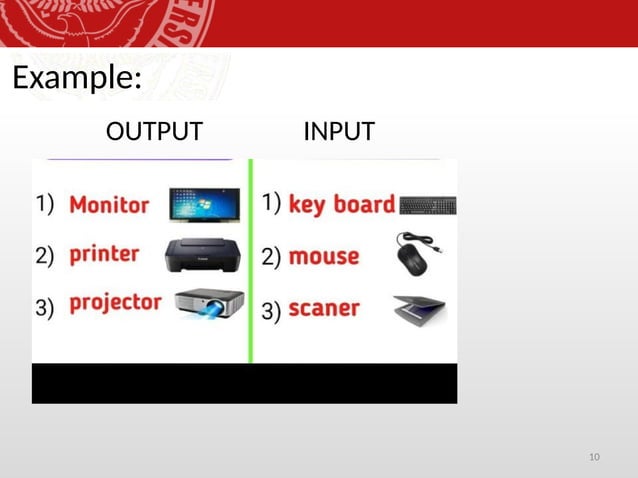 Computer Hardware.pptx Introduction to Computing | PPTX