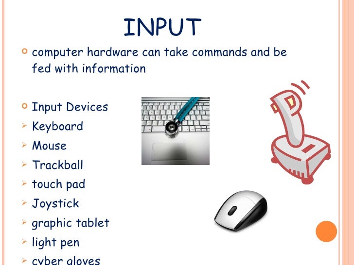 Computer Hardware_castro