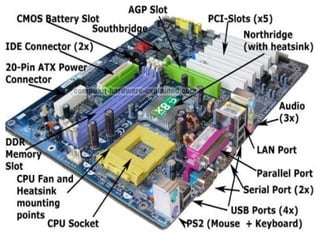 Computer hardware ppt1 | PPT | Computing | Technology & Computing
