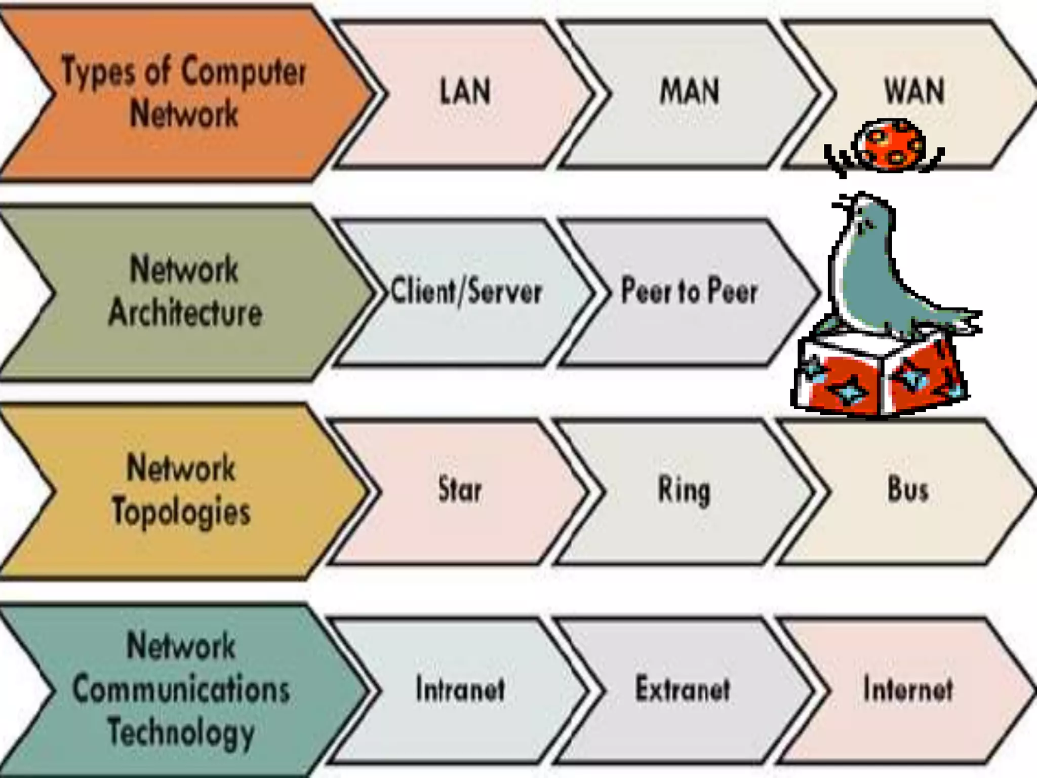 Basic Networking Concepts | PPTX