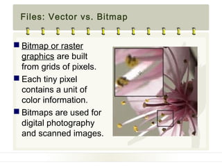Computer & Illustrator Basics | PPT