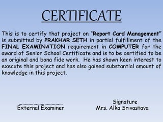 Computer Science Investigatory Project | PPTX