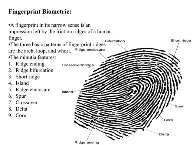 Computerised voting system | PPTX | Operating Systems | Computer Software and Applications
