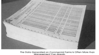 Computerized Poultry Record Keeping | PPSX
