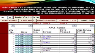 Computerized Poultry Record Keeping | PPSX