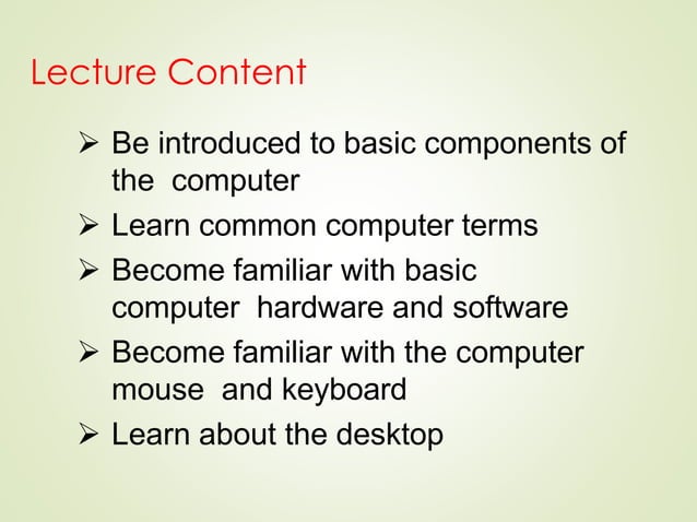 Computer Lecture 1.pdf