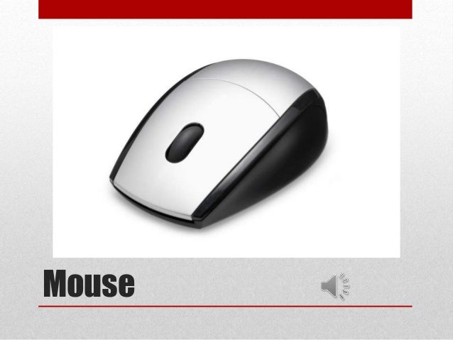 Computer lesson 1 vocabulary