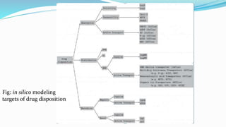 Computational Modeling of Drug Disposition | PPTX