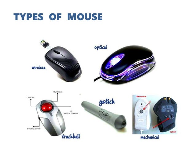 "MOUSE" HARDWARE