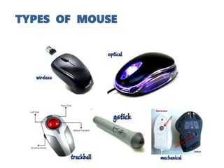 Types Of Computer Mouse Explained (2022) | atelier-yuwa.ciao.jp