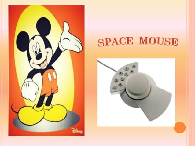 Computer network - Space Mouse | PDF | Computer Peripherals | Computing