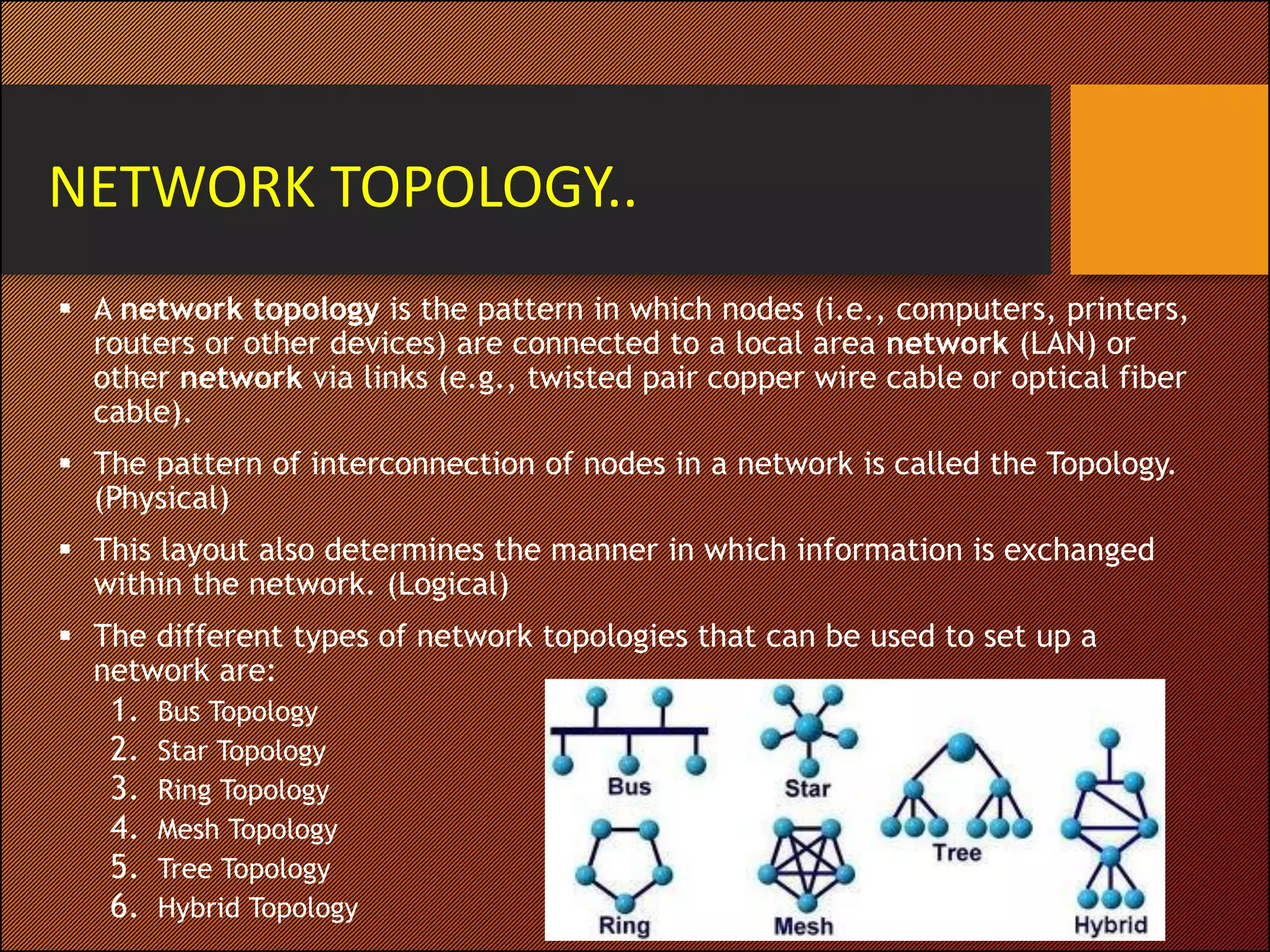 Computer Network | BBA First Semester | PDF