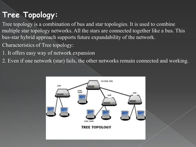 Computer networking For Class XII | PPTX