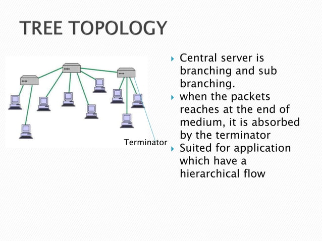 Computer networking class 12 | PPTX | Internet | Computing