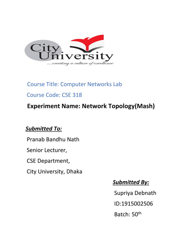 Computer network lab 1 | PDF