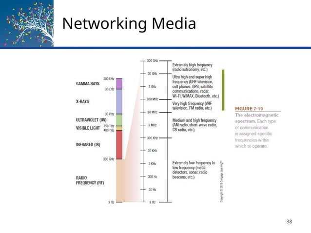 Computer Networks - Basics, Introduction.pptx