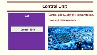 Chapter-1 || Computer Overview || Class XI || 2024 || | PDF