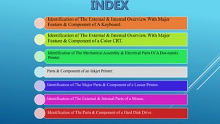 Computer peripherals presentation | PPTX