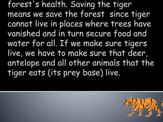 save tigres | PPTX
