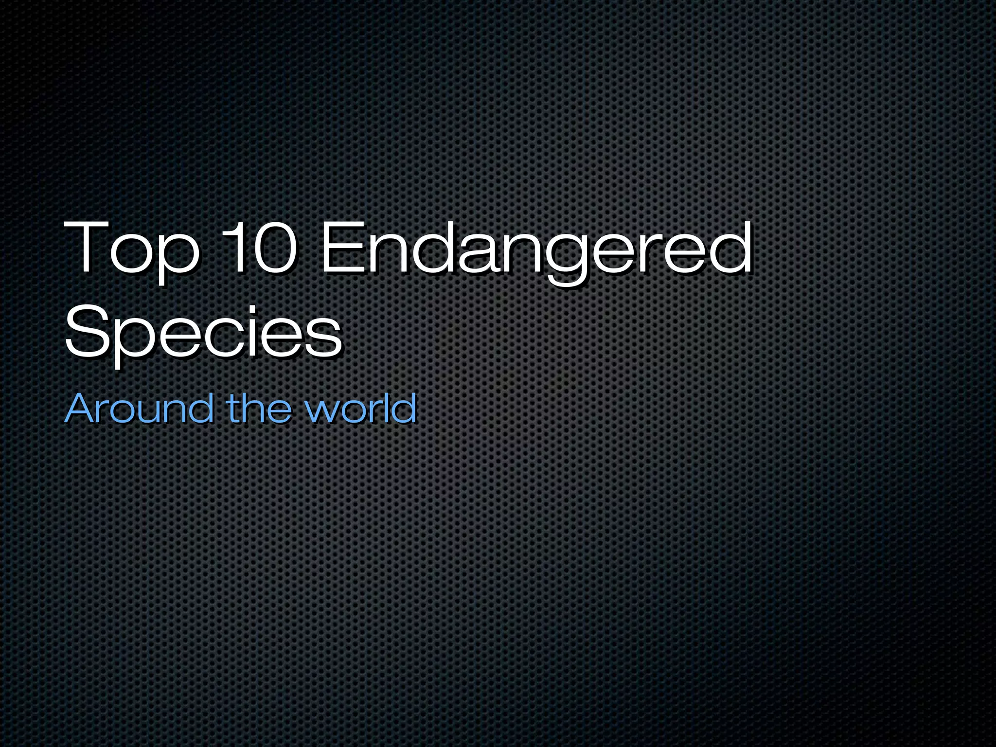 Top 10 Endangered Animals around the world | PPT | Reptiles | Pets