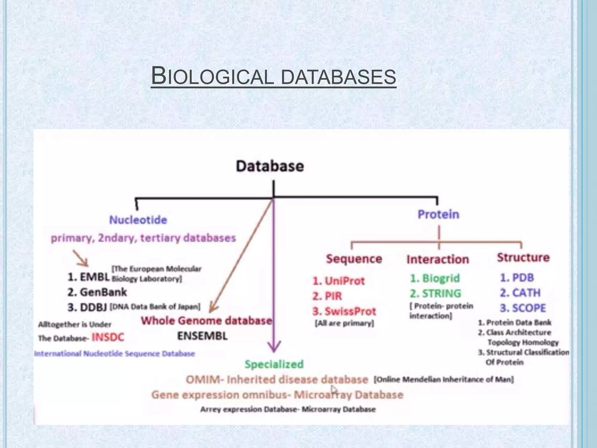 Bioinformatics Database Computer Applications Pptx Biotech And 1706