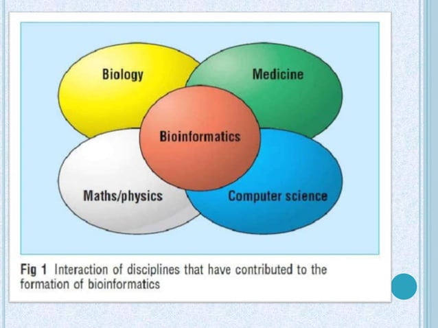 Bioinformatics Database Computer applications | PPTX | Biotech and Biomedical Industry | Industries