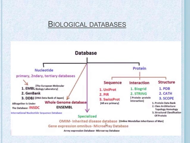 Bioinformatics Database Computer applications | PPTX | Biotech and ...