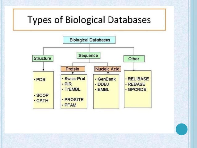 Bioinformatics Database Computer Applications Ppt