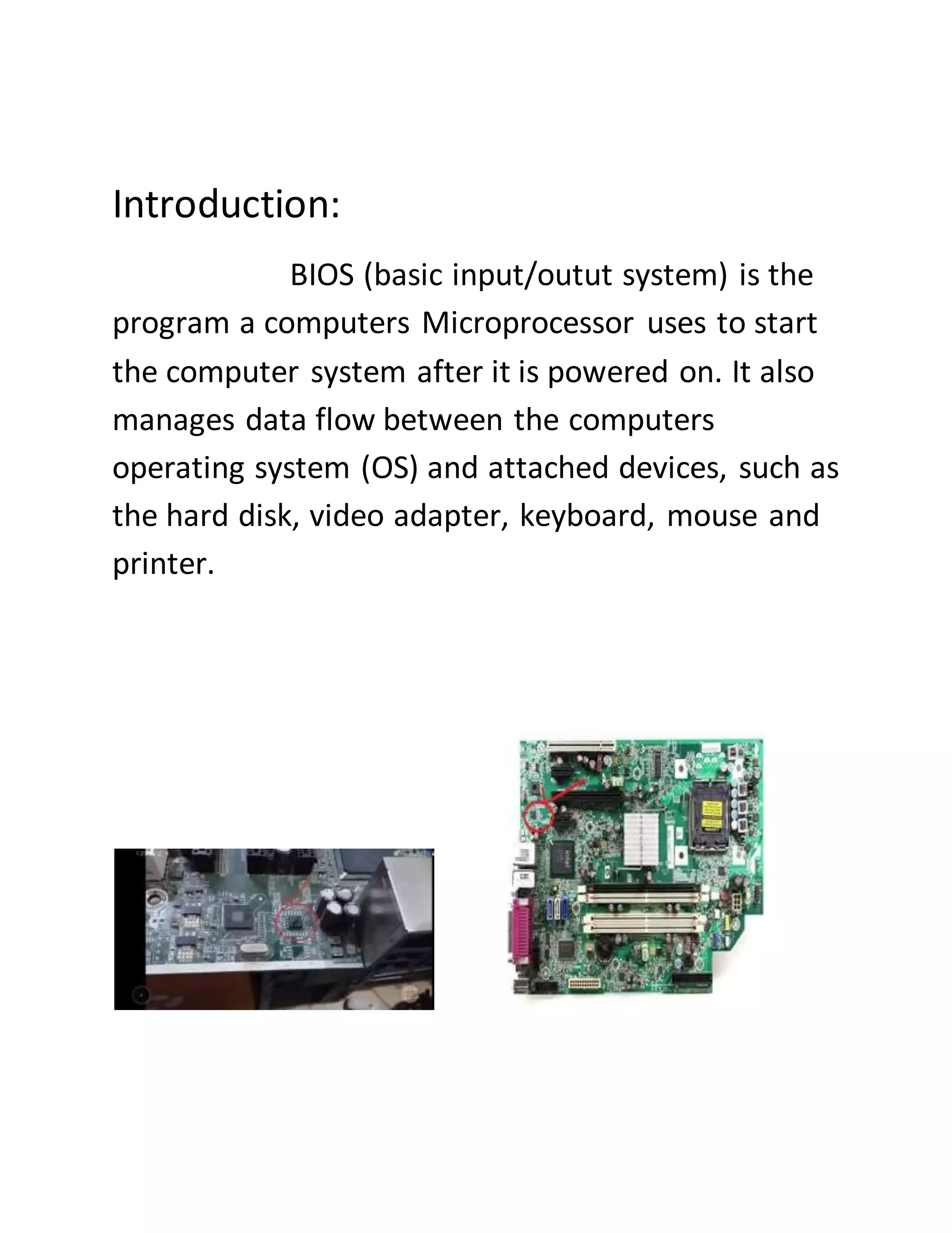 Presentation about Bios | DOCX