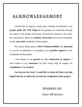 Computer project final for class 12 Students | PDF