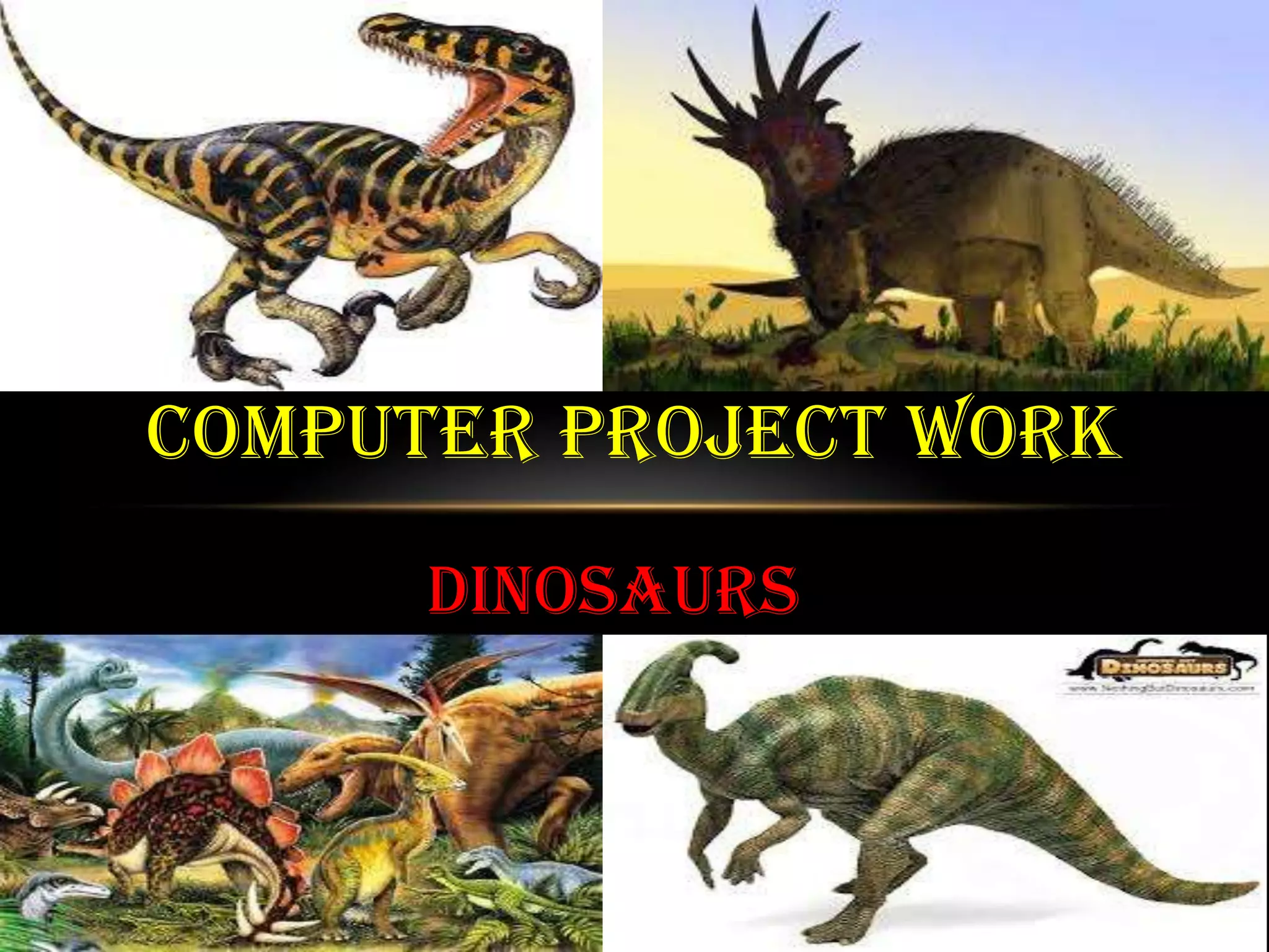 Computer project work | PPT