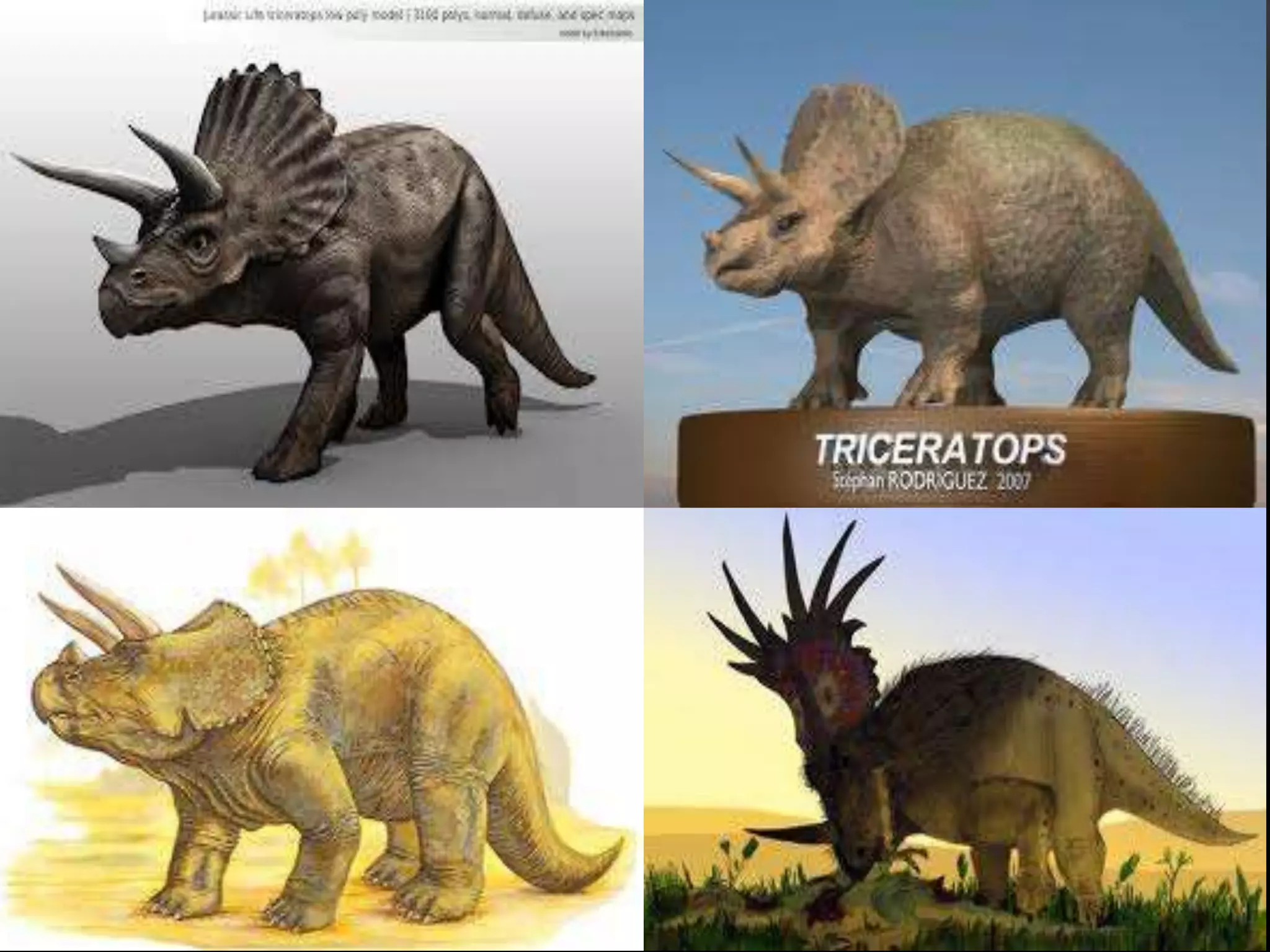 Computer project work | PPTX