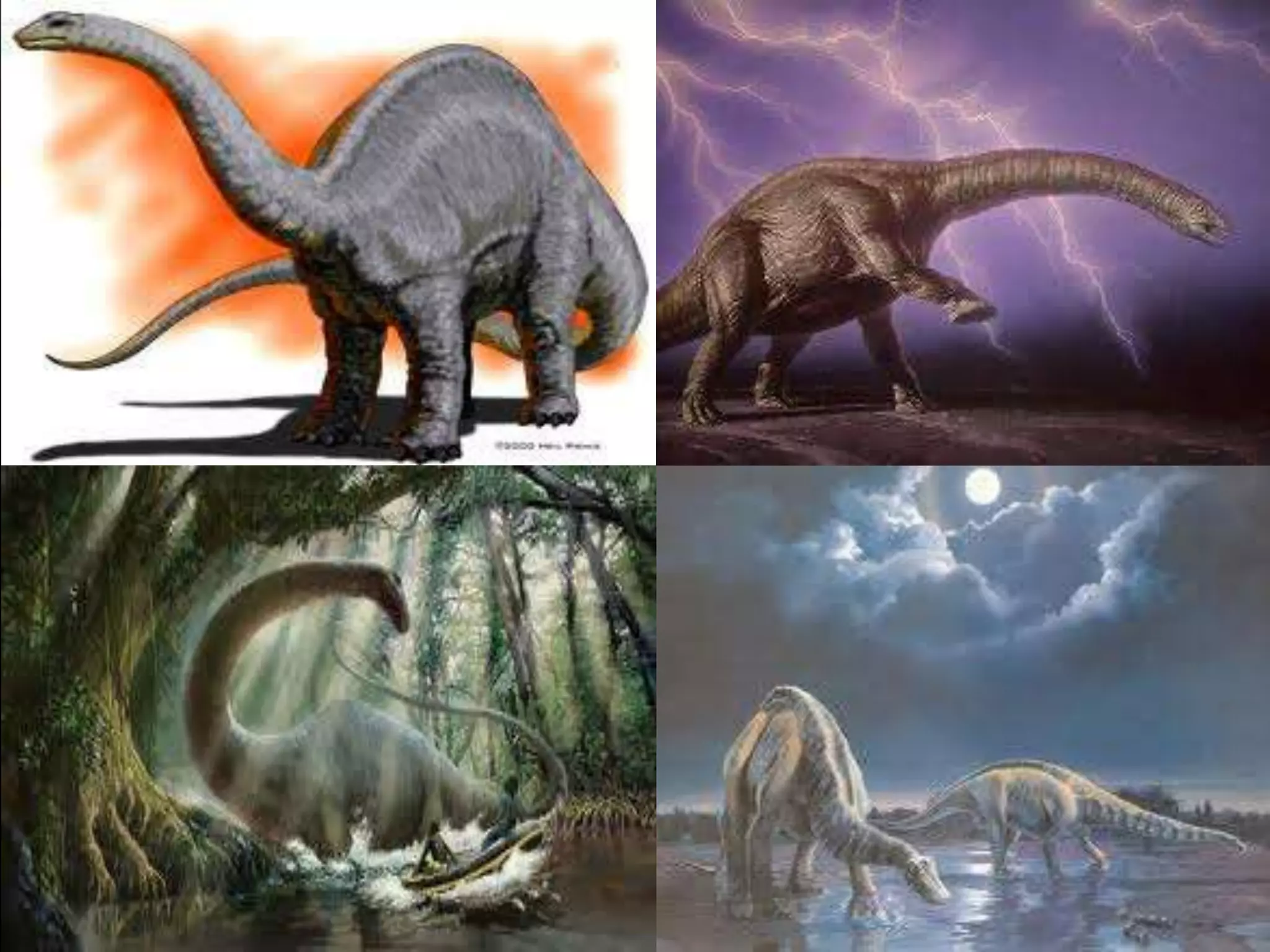 Computer project work | PPT