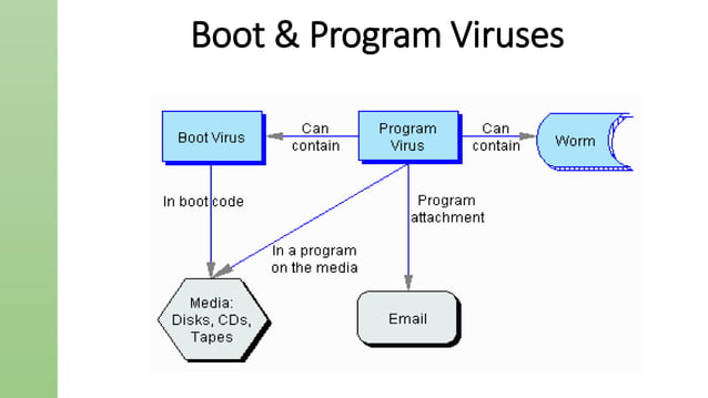 Computer Viruses and Protections | PPT