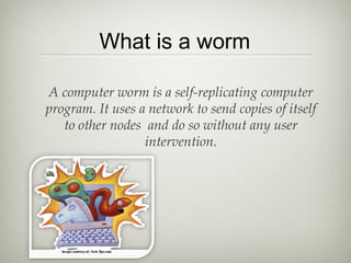Computers Diseases | PPT