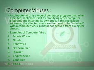 Computer Scienc-WPS Office.pptx