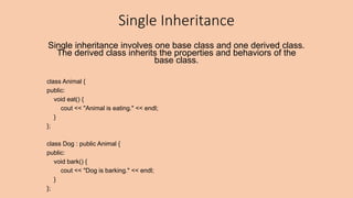 Polymorphism and Virtual Functions ppt bioinformatics | PPTX | Programming Languages | Computing